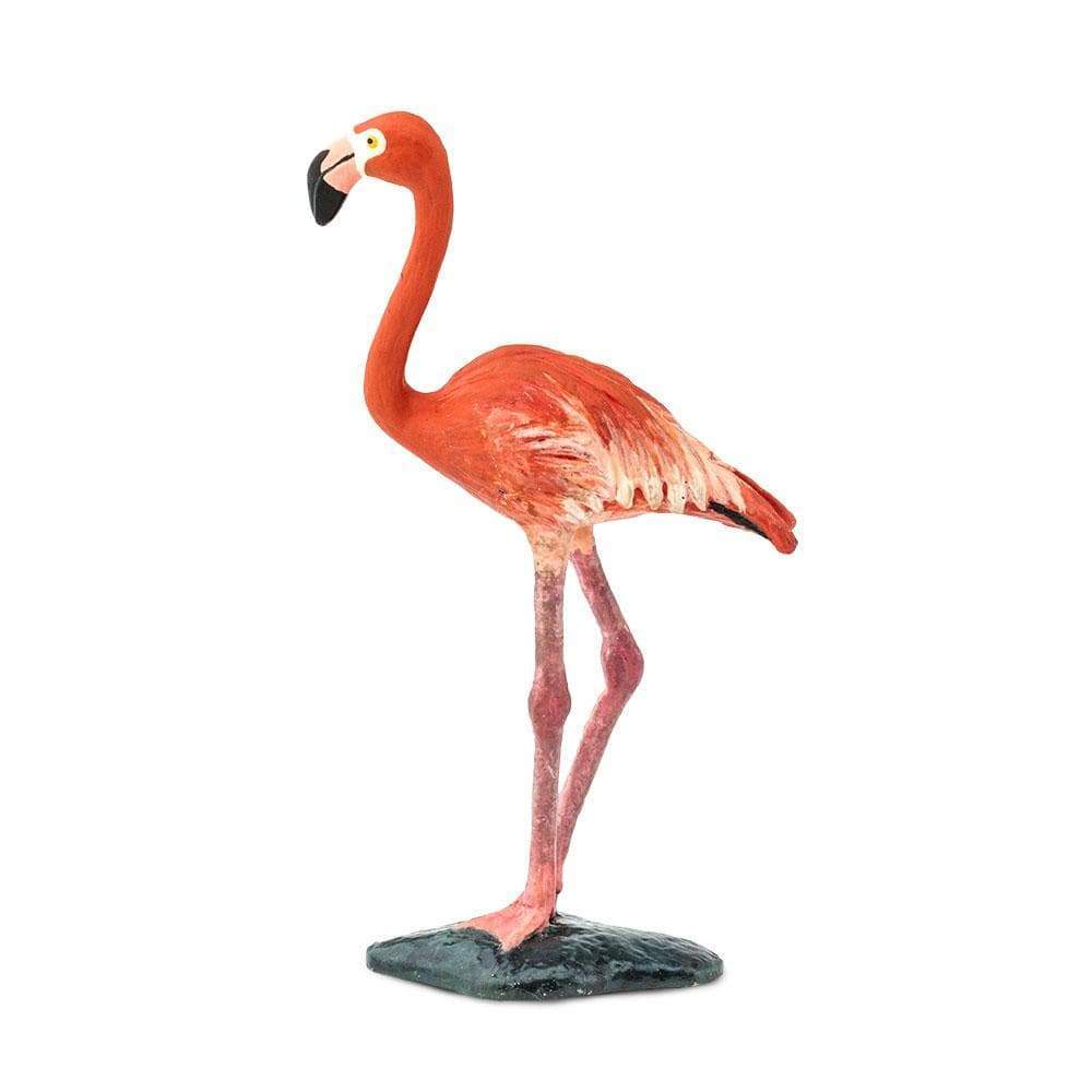 Flamingo Figure – Realistic Bird Toy for Kids, Boys and Girls | Safari Ltd®
