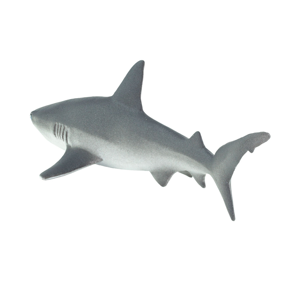 Gray Reef Shark Toy | Safari Ltd®