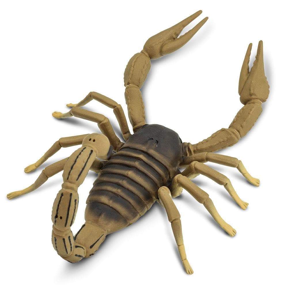 Scorpion Toy | Safari Ltd® | Safari Ltd®
