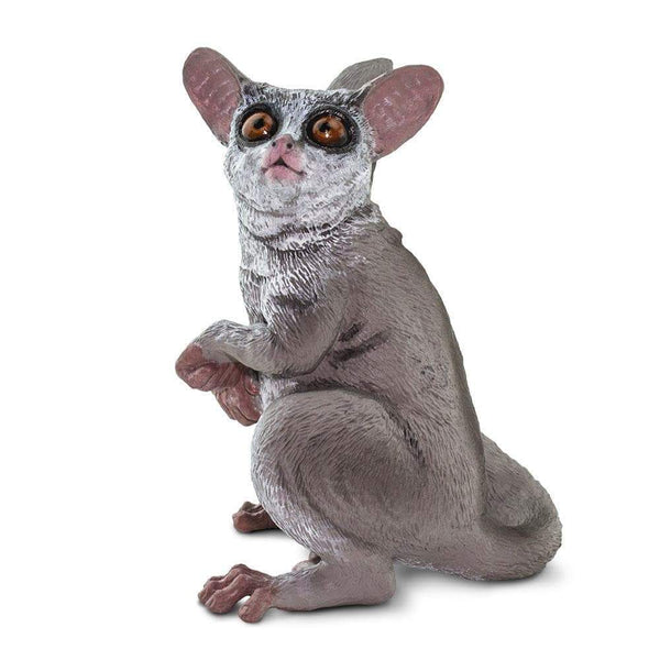 Bush Baby Toy Figurine – Lifelike Galago Primate Model | Incredible ...