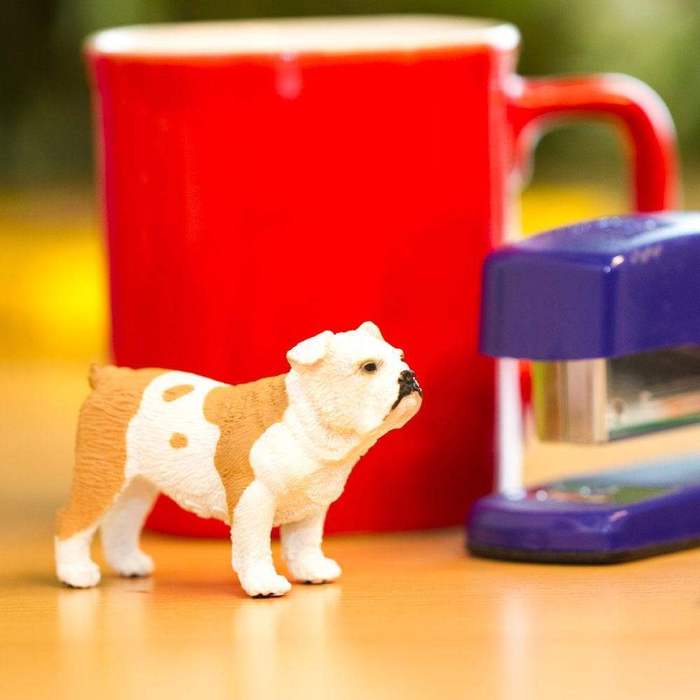 Bulldog Toy, Bulldog Figurines | Safari Ltd®