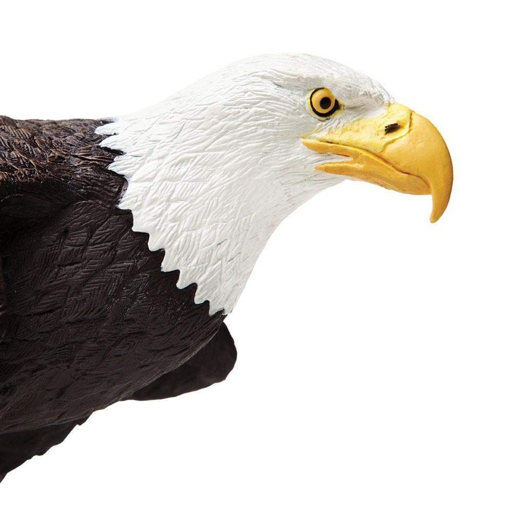Bald Eagle Figure – Realistic Bird Toy for Kids, Boys and Girls ...