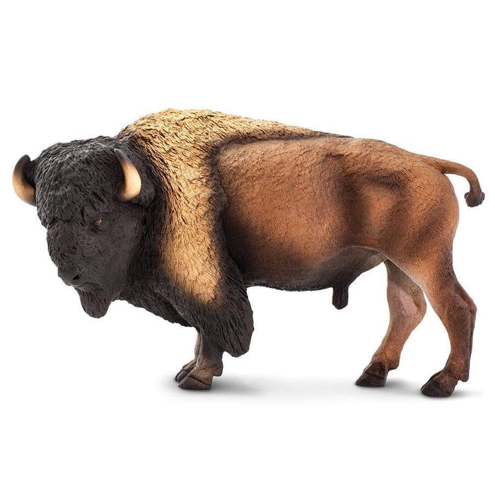 Bison Toy | Safari Ltd®