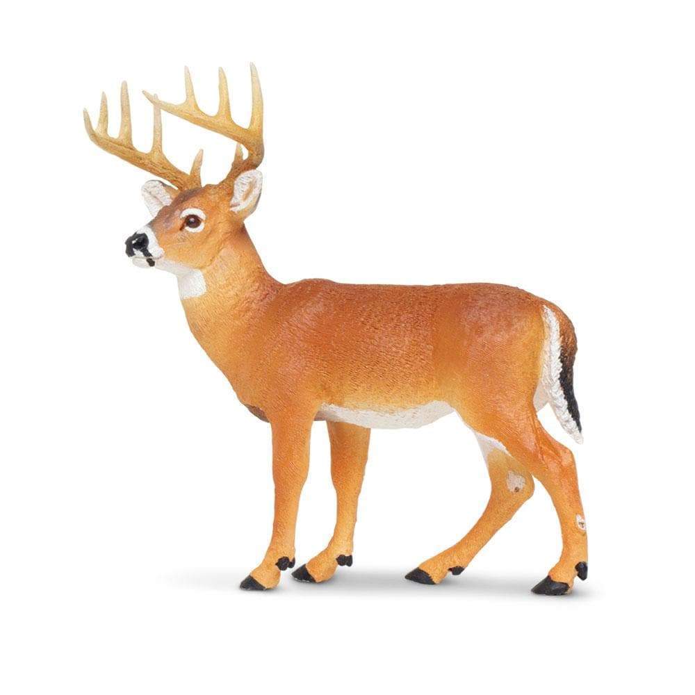 Whitetail Buck Figurine – Realistic Deer Toy | Safari Ltd® | Safari Ltd®
