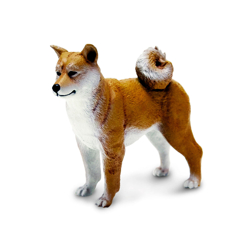 Shiba Inu Toy | Safari Ltd®