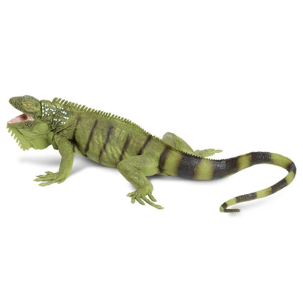 Iguana Toy | Incredible Creatures | Safari Ltd®