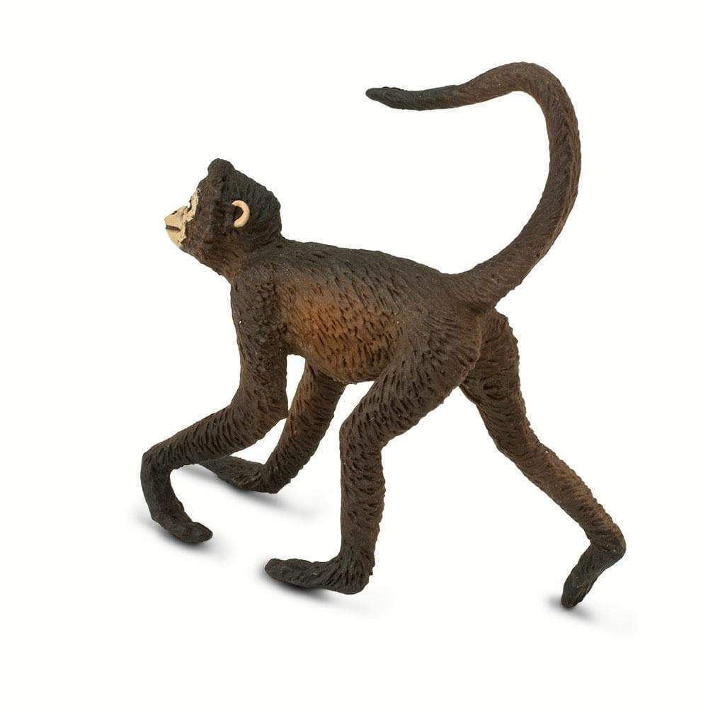 Spider Monkey Toy Figurine – Realistic New World Primate | Wild Safari ...