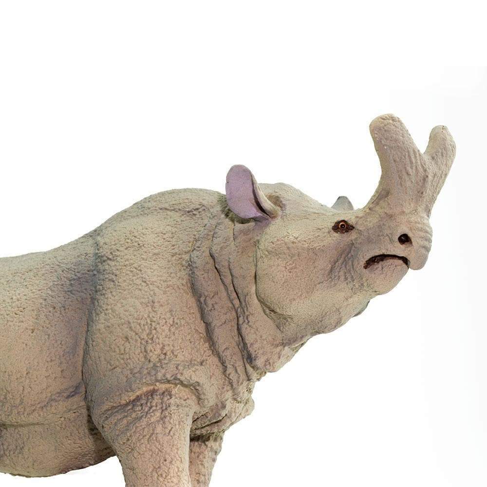Megacerops Toy | Safari Ltd®
