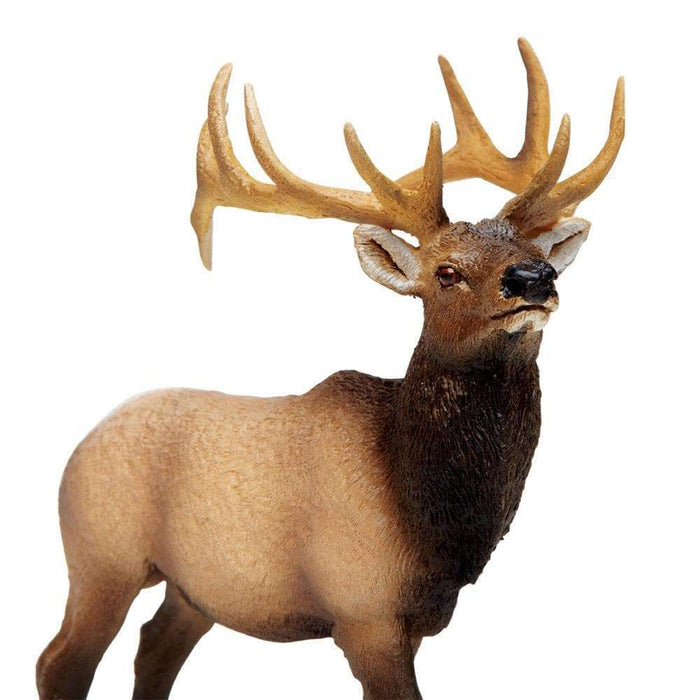 Elk Bull Toy | Wildlife Animal Toys | Safari Ltd. | Safari Ltd®