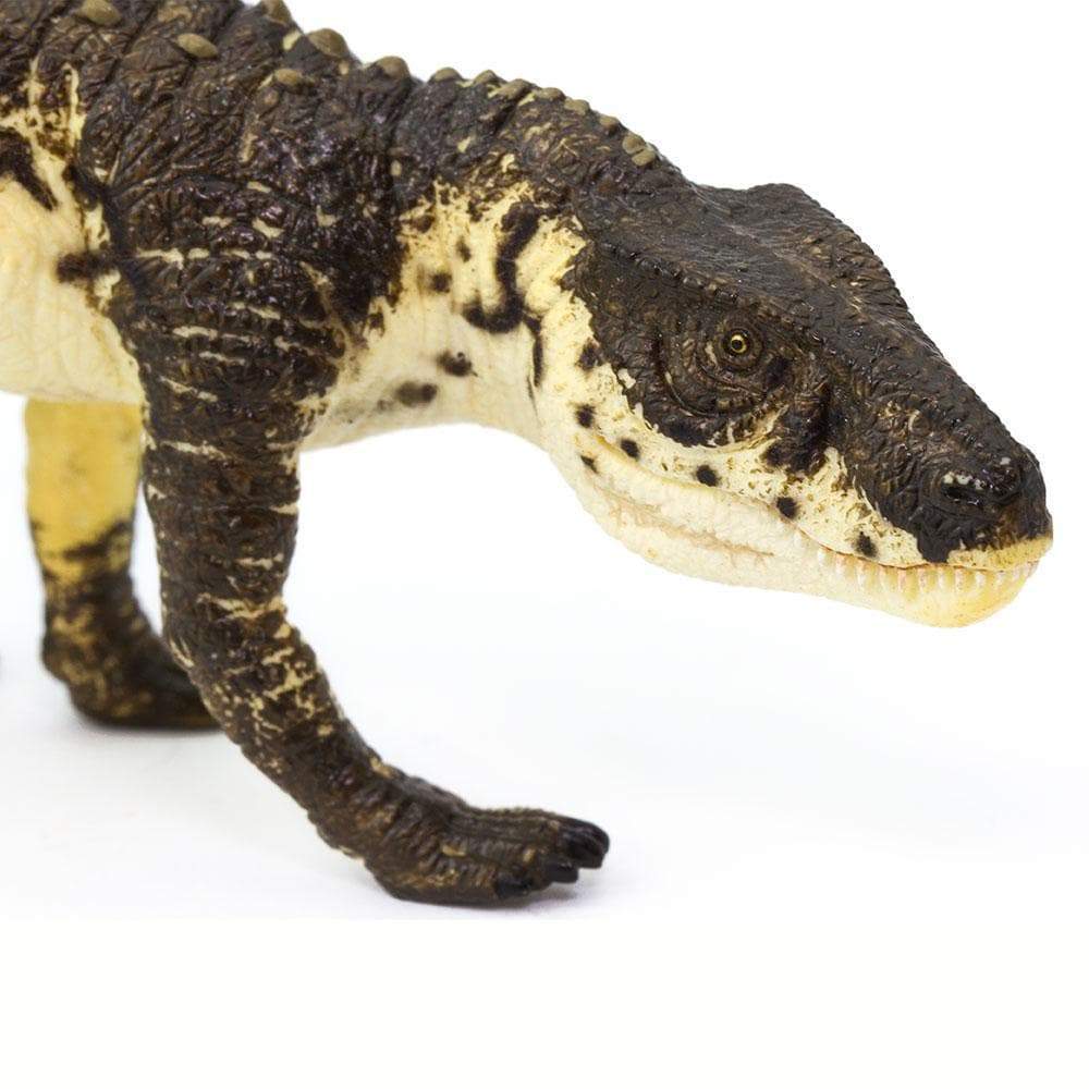 Postosuchus Toy | Dinosaur Toys | Safari Ltd. | Safari Ltd®