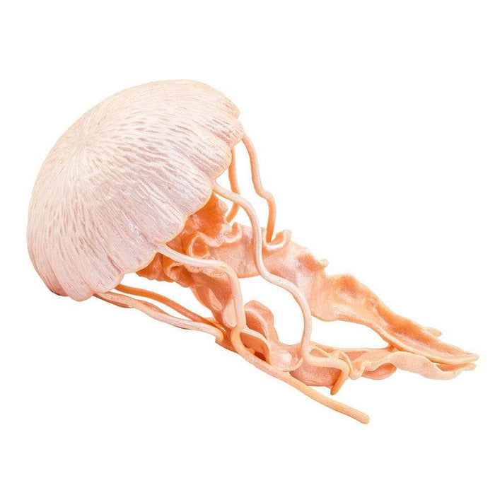 Jellyfish Figure – Realistic Ocean Animal Toy for Kids, Boys and Girls ...