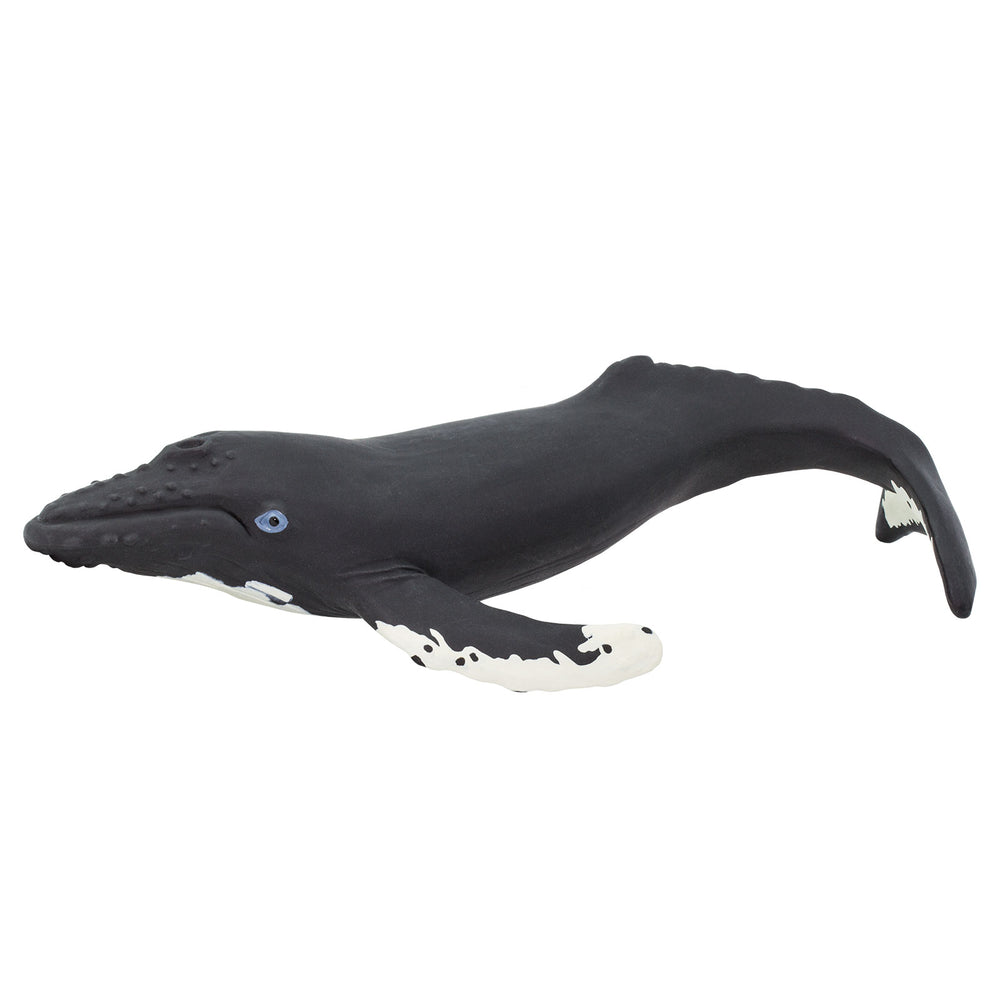 Humpback Whale Toy | Safari Ltd®