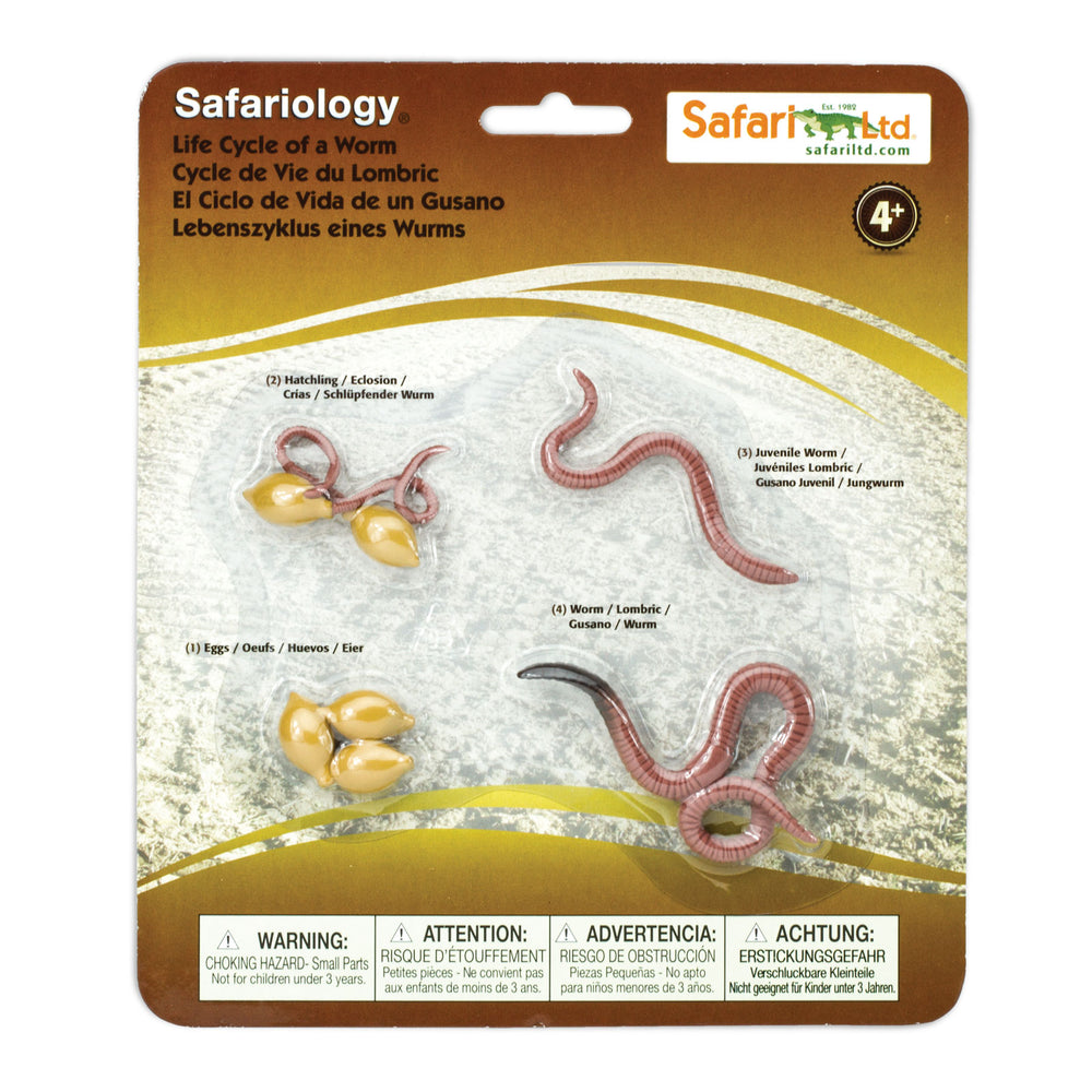 Life Cycle of a Worm Figurine Set – Educational Toy | Safari Ltd ...