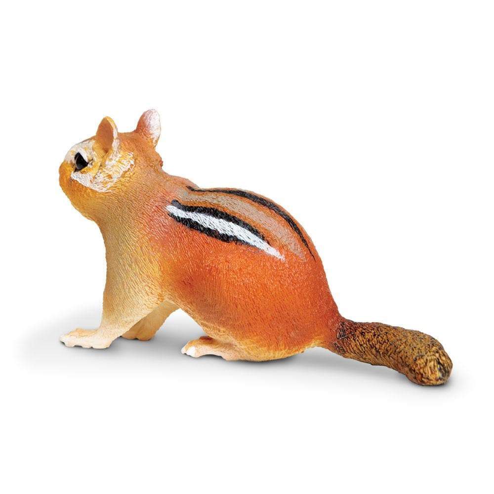 Eastern Chipmunk Mammal Toy | Safari Ltd®