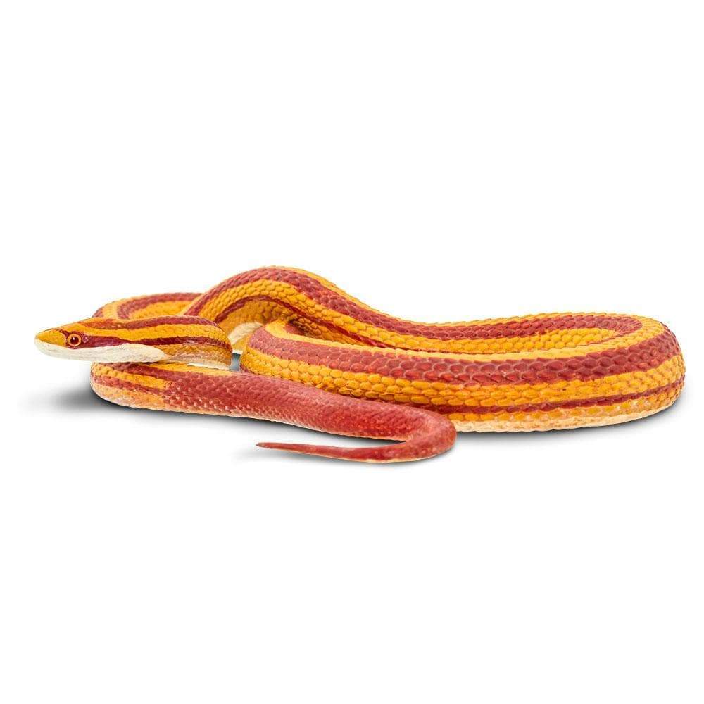 Corn Snake Toy | Safari Ltd®