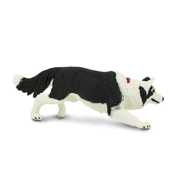Border Collie | Dog Toy | Safari Ltd® | Safari Ltd®
