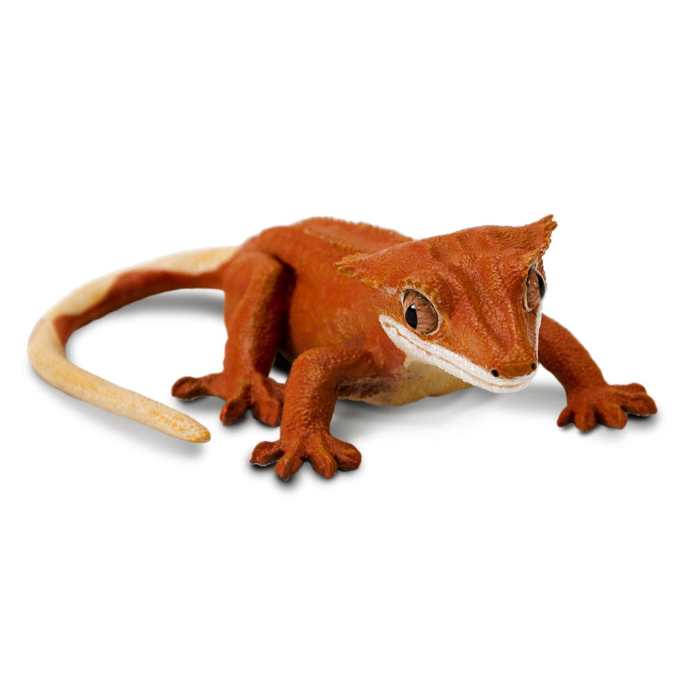 Crested Gecko Toy Figure – Realistic Gecko Figurine | Safari Ltd ...