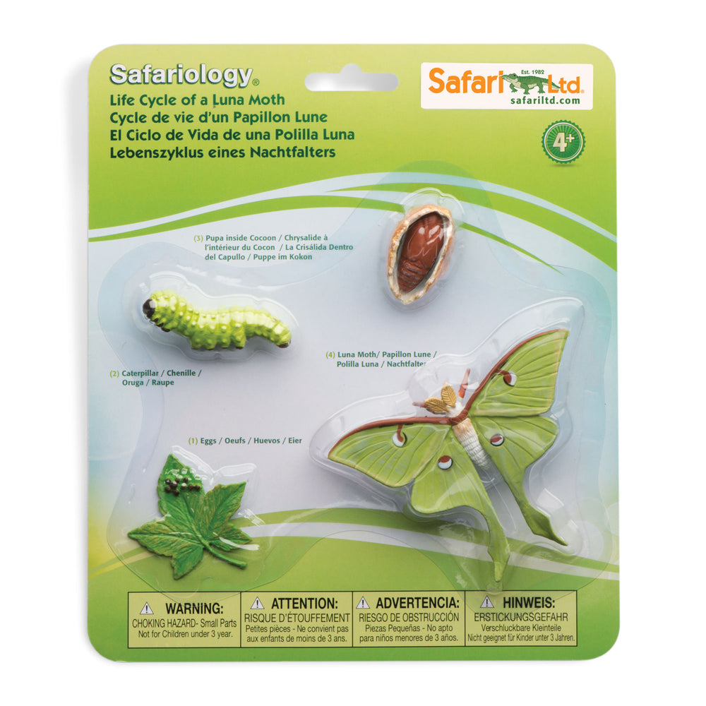 Life Cycle Of A Luna Moth Science Toy | Safari Ltd® | Safari Ltd®