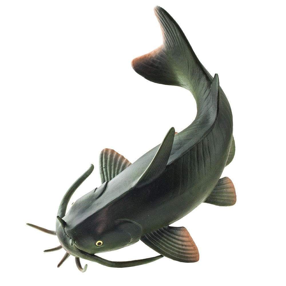 Catfish Figure – Realistic Freshwater Fish Toy for Kids, Boys and Girls ...