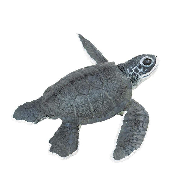 Baby Sea Turtle Figurine – Realistic & Educational | Safari Ltd ...