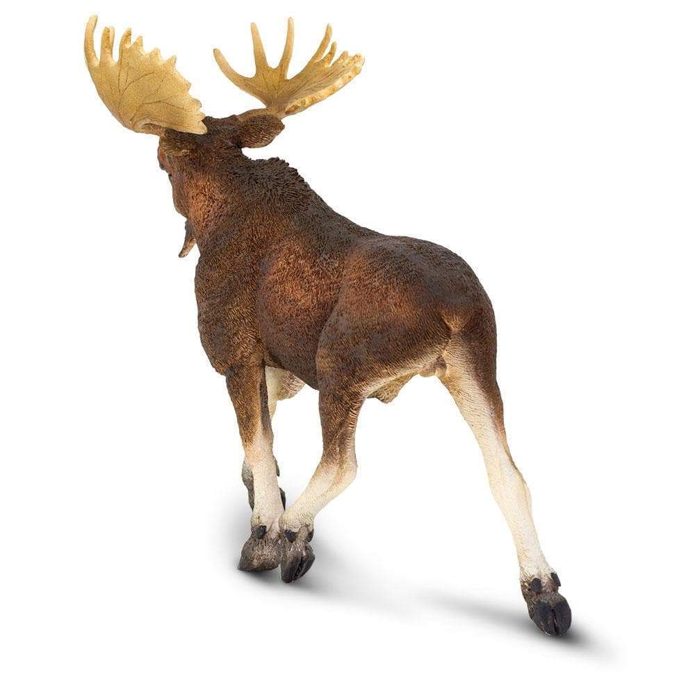 Moose Figurine Toy – Realistic Wildlife Model | Safari Ltd® | Safari Ltd®
