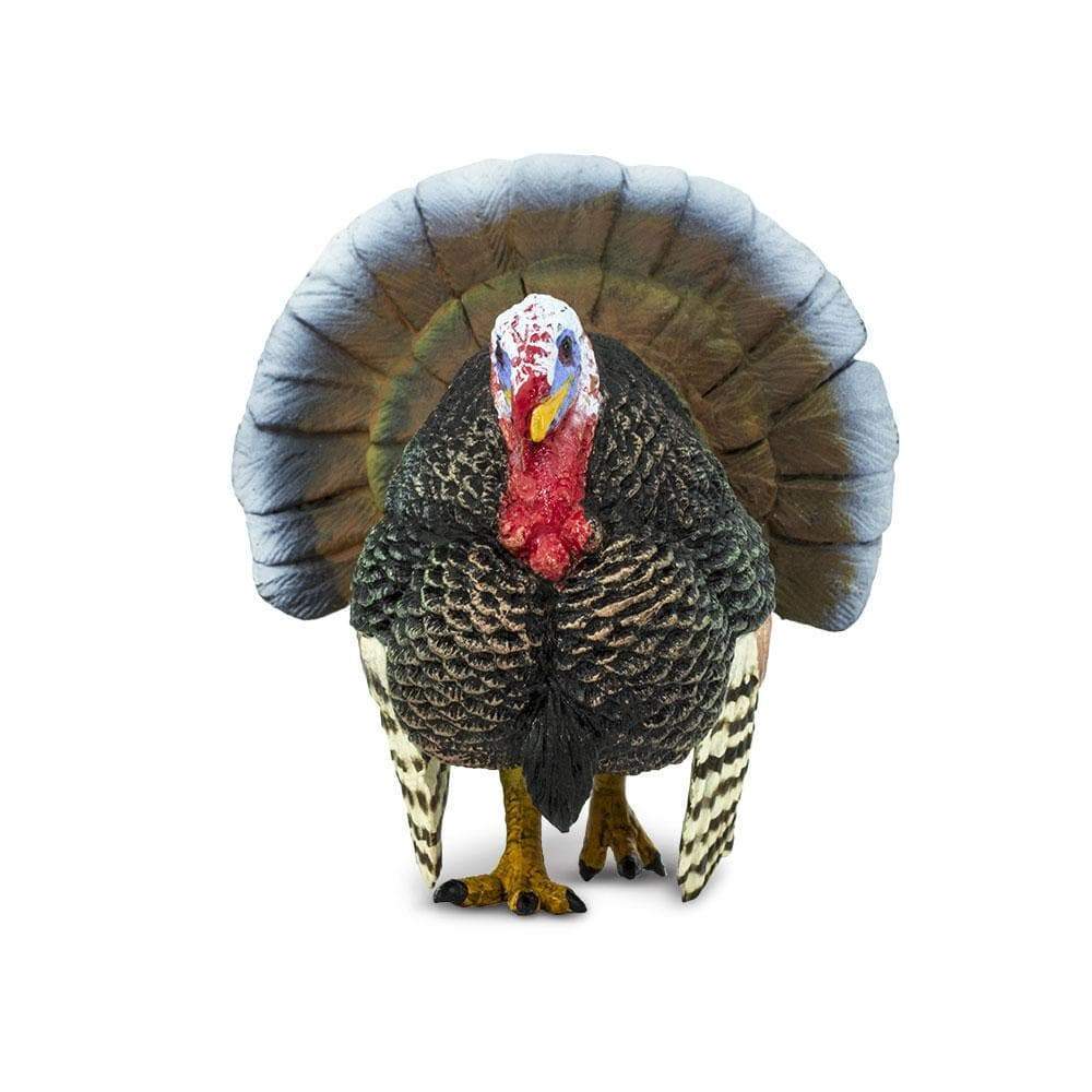 Turkey Figurine – Realistic Farm Animal Toy | Safari Ltd® | Safari Ltd®