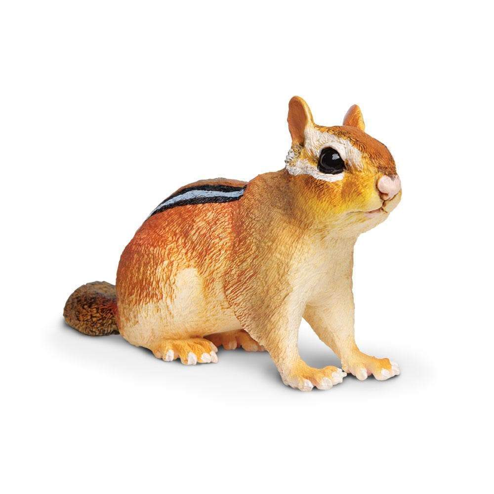 Eastern Chipmunk Toy | Safari Ltd®