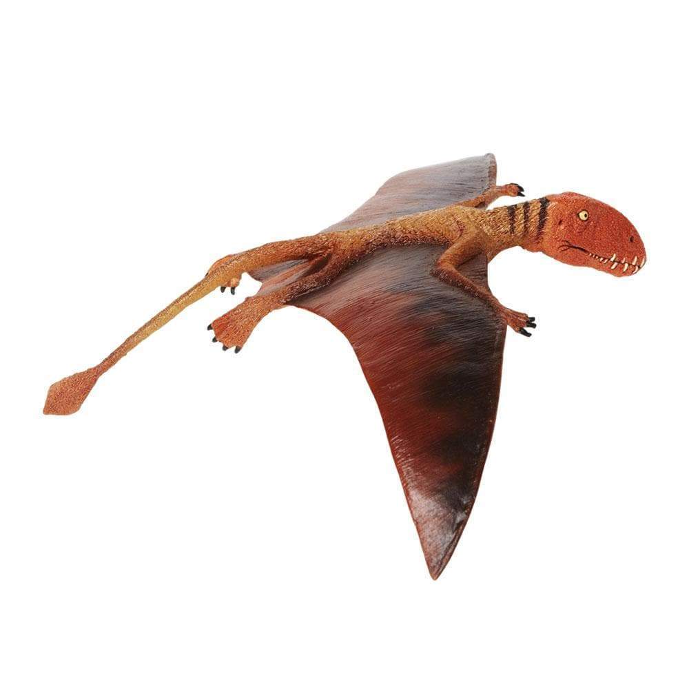 Dimorphodon Figurine | Wild Safari Prehistoric World | Safari Ltd ...