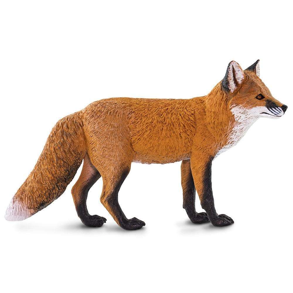 Red Fox Figure – Realistic Animal Toy for Kids, Boys and Girls | Safari ...