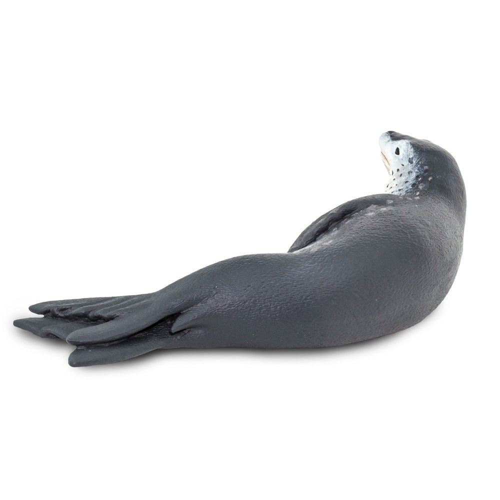 Leopard Seal Toy - Realistic Seal Figurine from Wild Safari® Sea Life ...