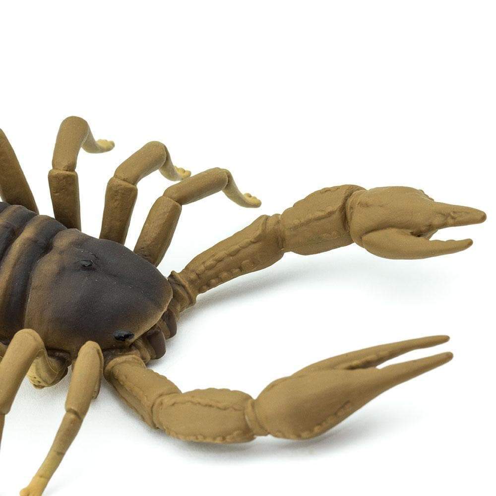 Scorpion Toy | Safari Ltd® | Safari Ltd®