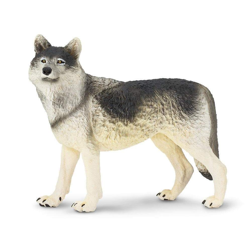 Gray Wolf Toy - Realistic Wolf Figurine from Wild Safari® Wildlife ...