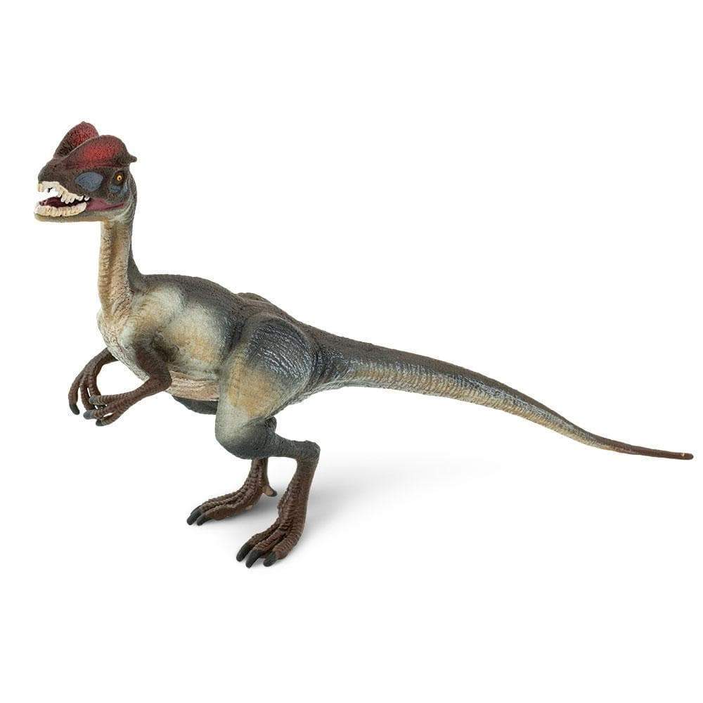 Dilophosaurus Dinosaur Toy | Safari Ltd Prehistoric Figurine | Safari Ltd®