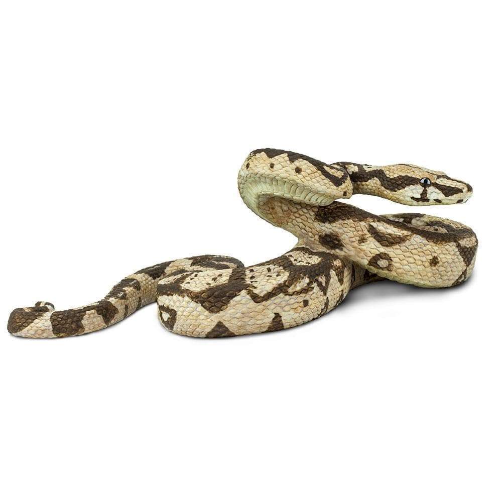 Boa Constrictor Toy Snake | Safari Ltd® Snake Figurine | Safari Ltd®
