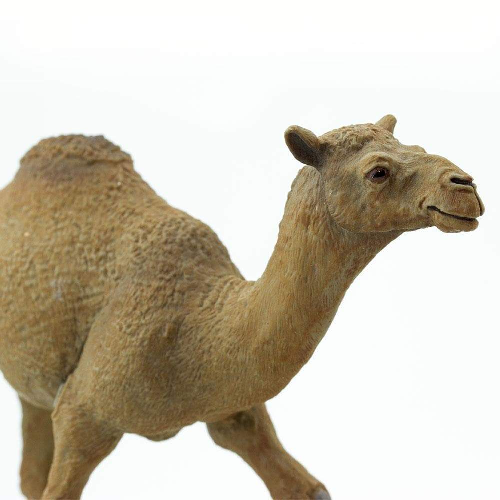 Dromedary Camel Toy Figure – Arabian Camel | Wild Safari® Wildlife ...