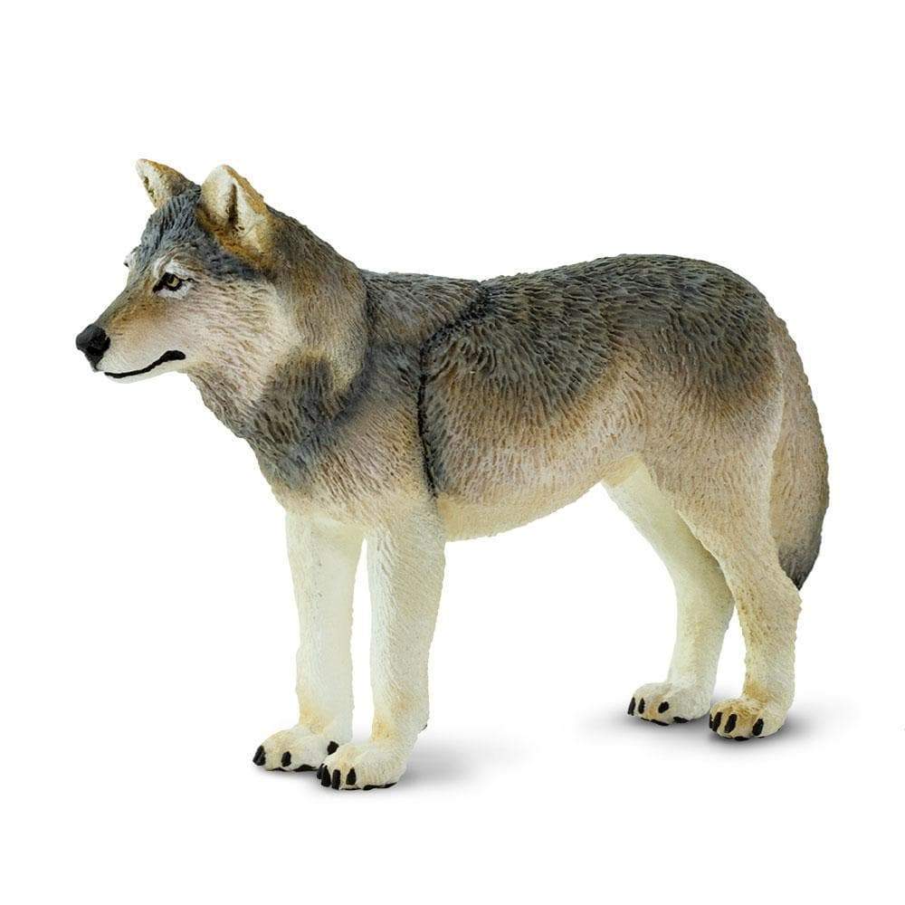 Gray Wolf Figure – Realistic Animal Toy for Kids, Boys and Girls ...