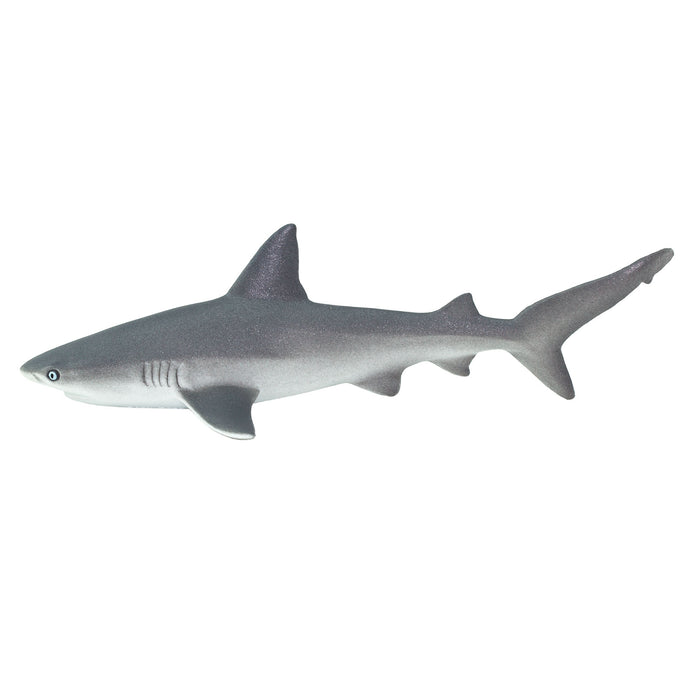 Gray Reef Shark Toy | Safari Ltd®