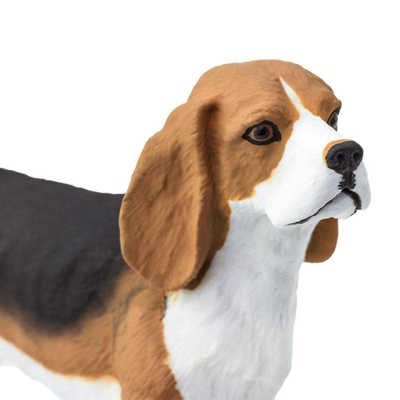 Beagle Figurine, Beagle Toy - Safari Ltd | Safari Ltd®