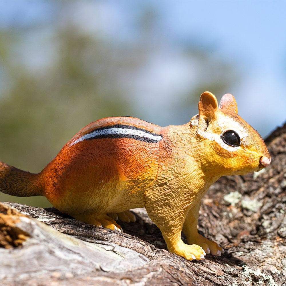 Eastern Chipmunk Toy | Safari Ltd®