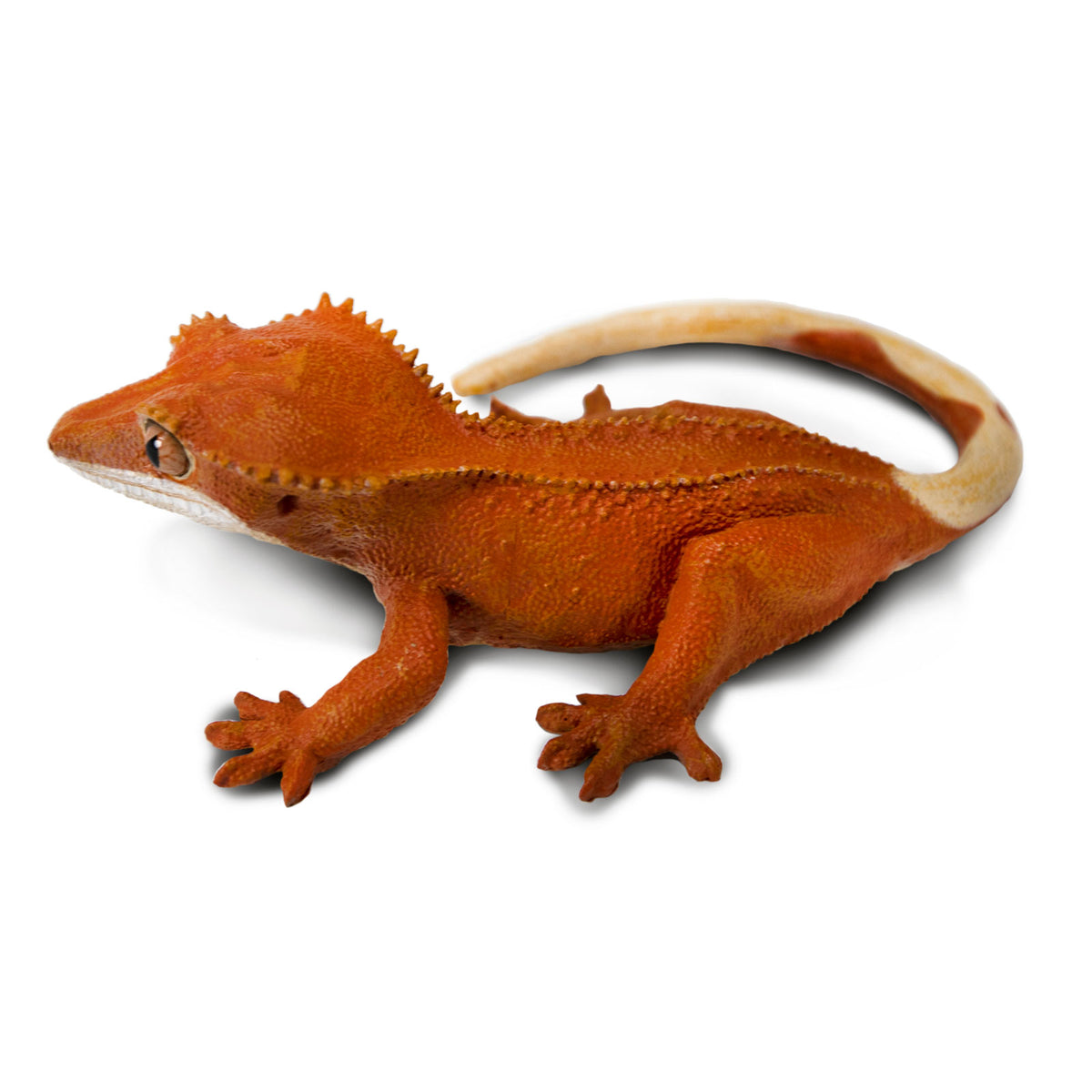 Crested Gecko Toy Figure – Realistic Gecko Figurine | Safari Ltd ...