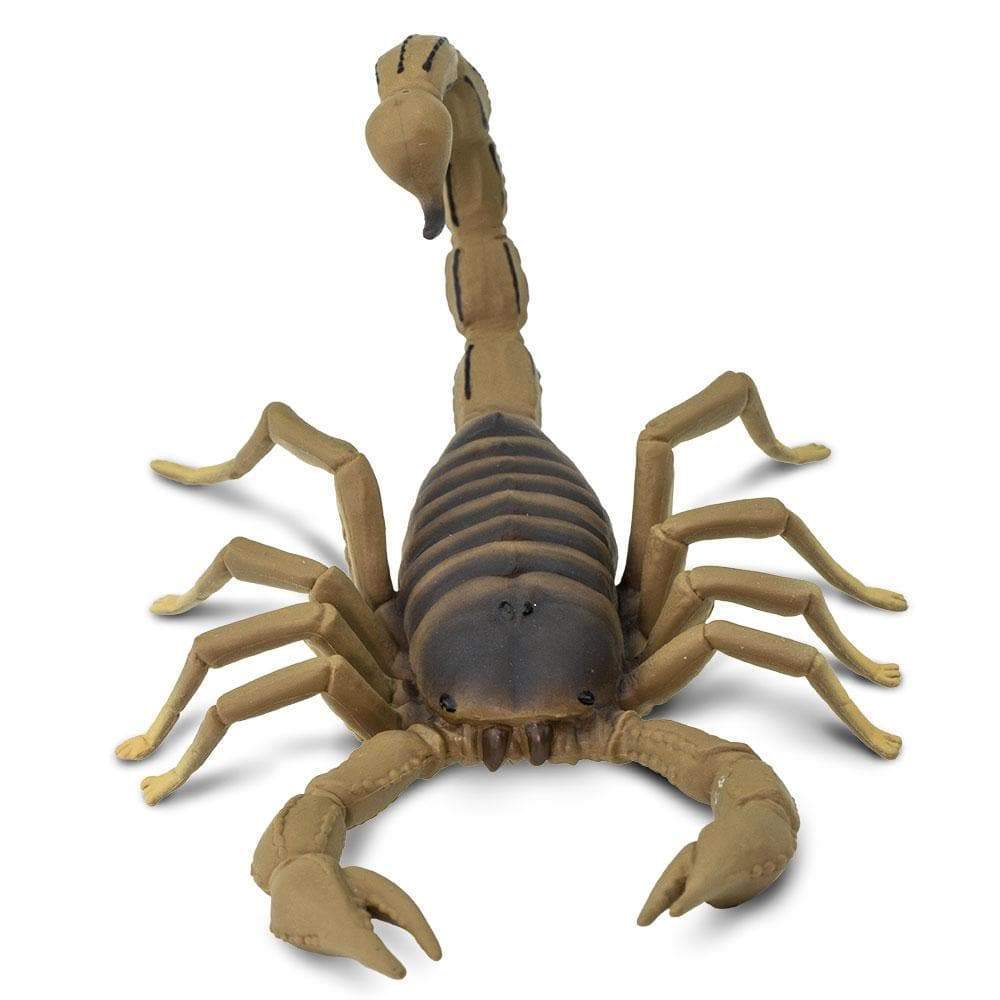 Scorpion Toy | Safari Ltd® | Safari Ltd®