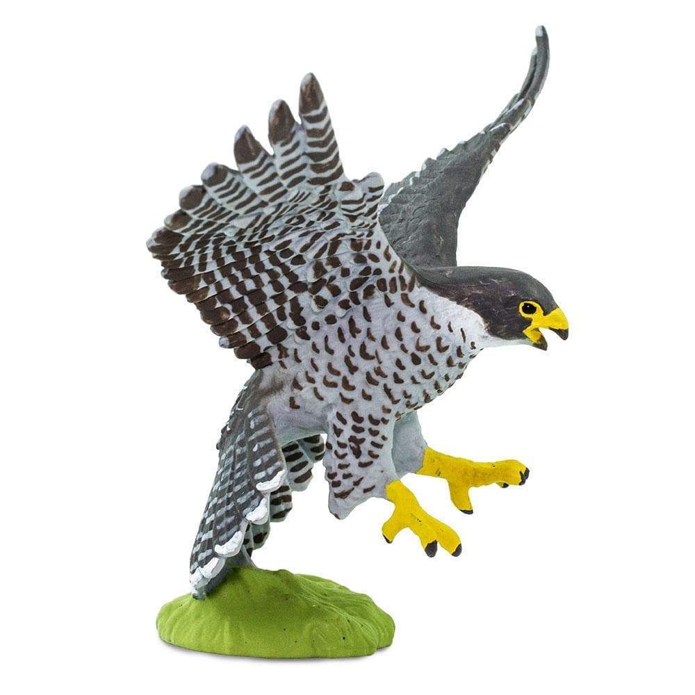 Peregrine Falcon Toy | Wildlife Animal Toys | Safari Ltd. | Safari Ltd®