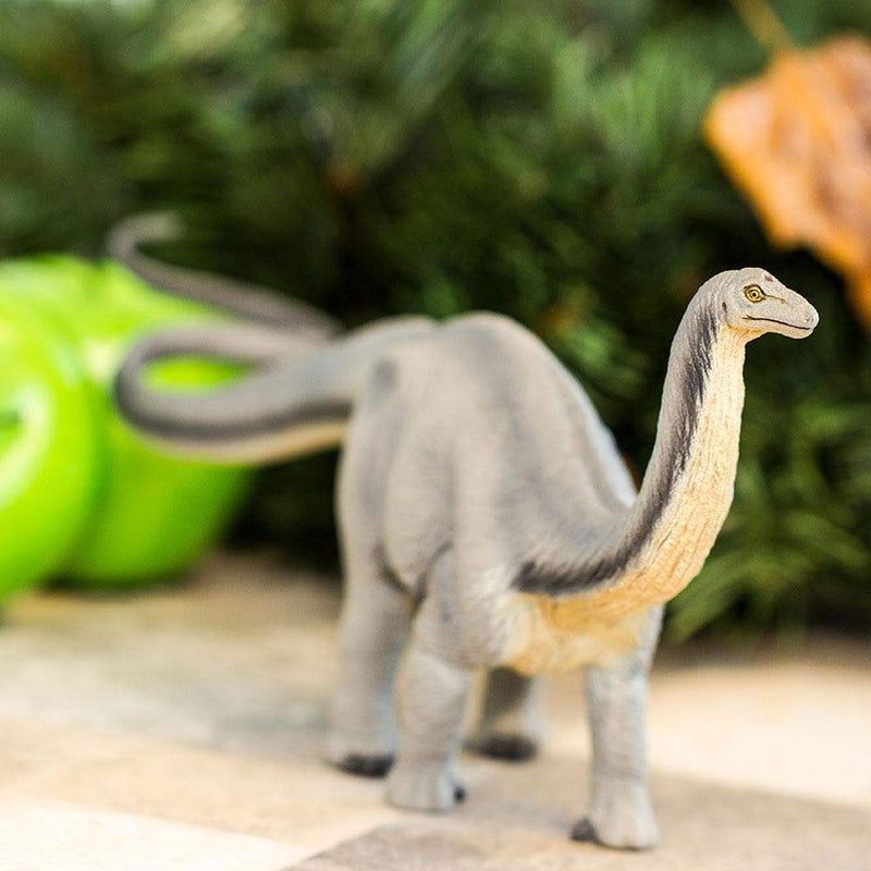 Apatosaurus Toy | Dinosaur Toys | Safari Ltd®