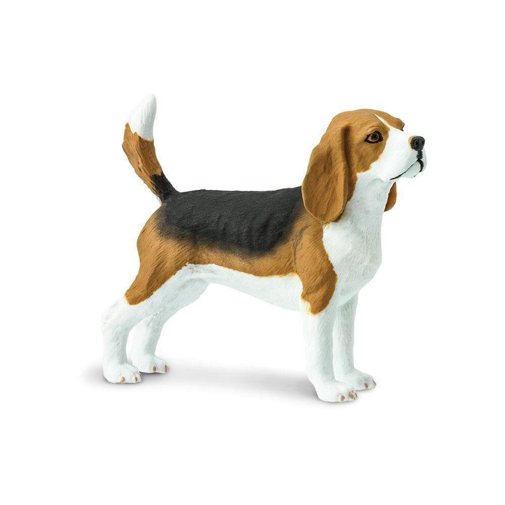 Beagle Figurine, Beagle Toy - Safari Ltd | Safari Ltd®