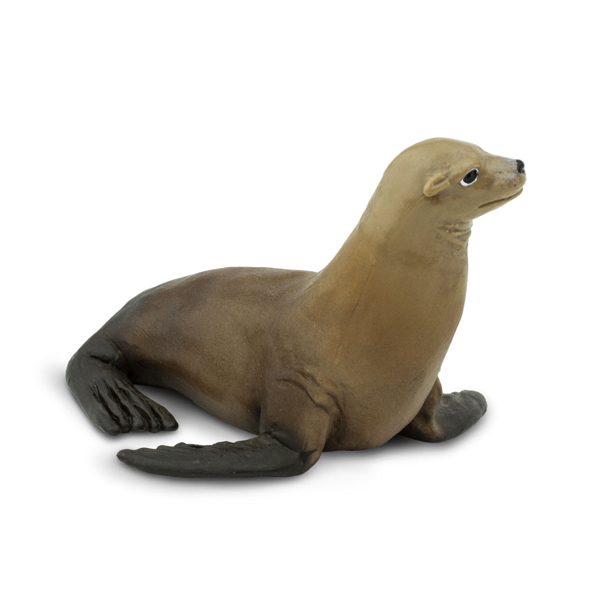 Sea Lion Toy | Safari Ltd®