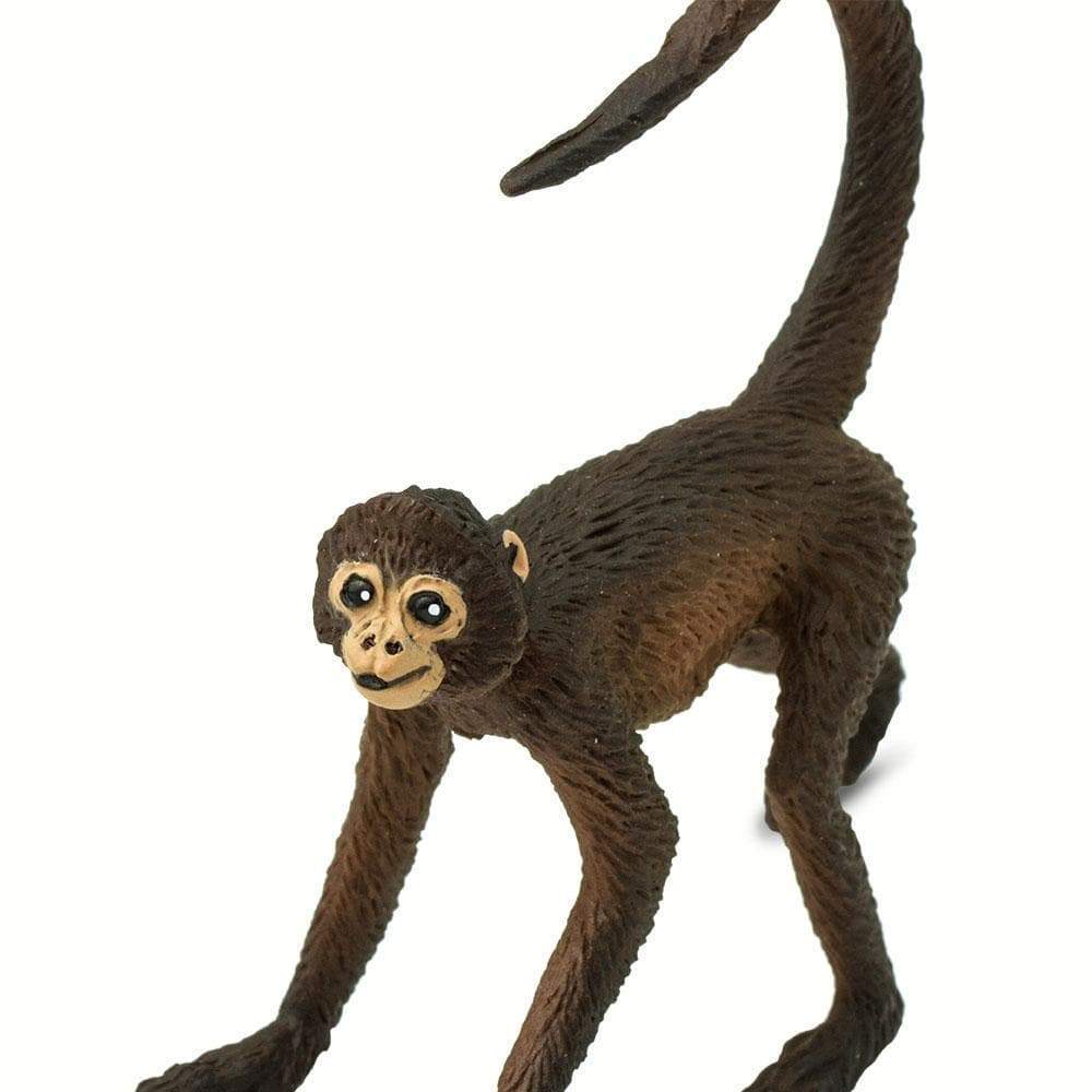 Spider Monkey Toy Figurine – Realistic New World Primate | Wild Safari ...