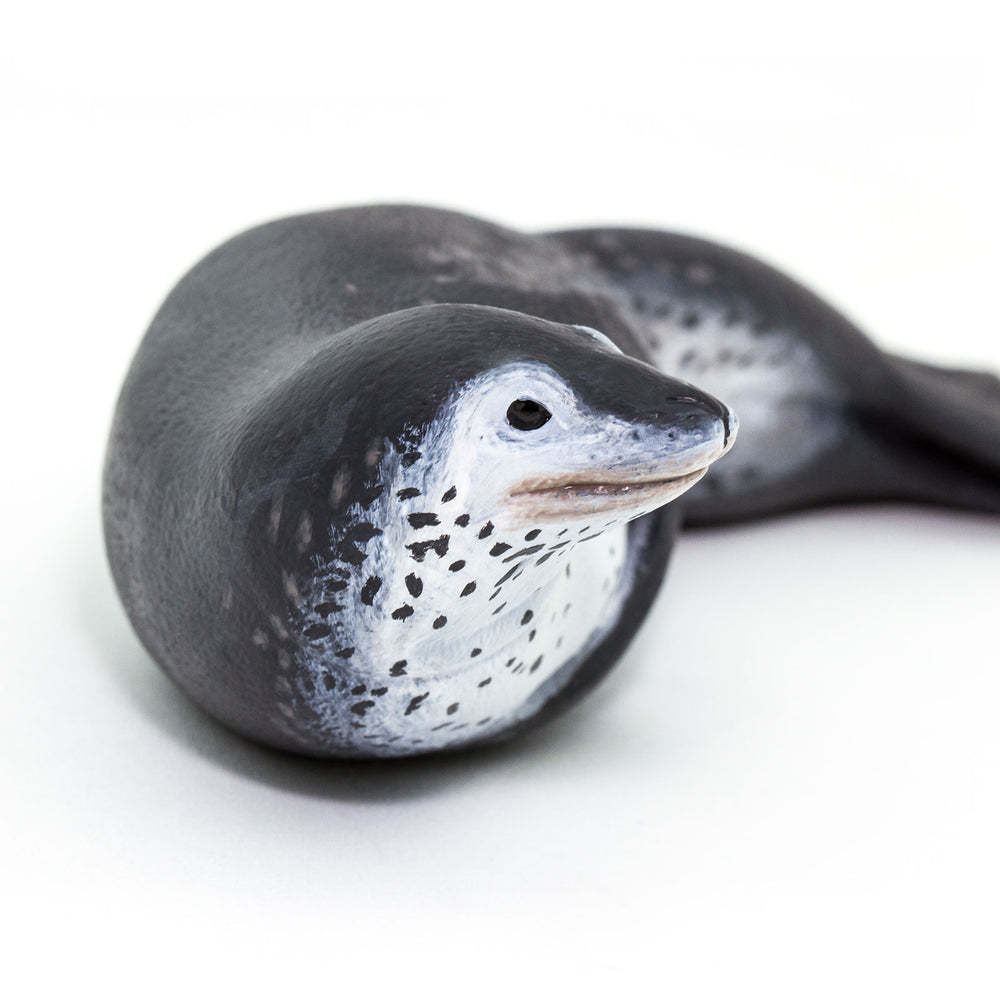 Leopard Seal Toy - Realistic Seal Figurine from Wild Safari® Sea Life ...