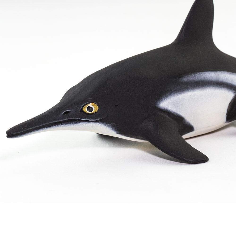 Ichthyosaurus Toy | Safari Ltd®