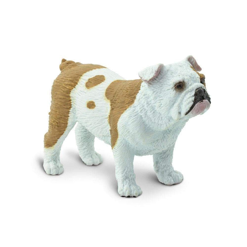 Bulldog Toy, Bulldog Figurines | Safari Ltd®