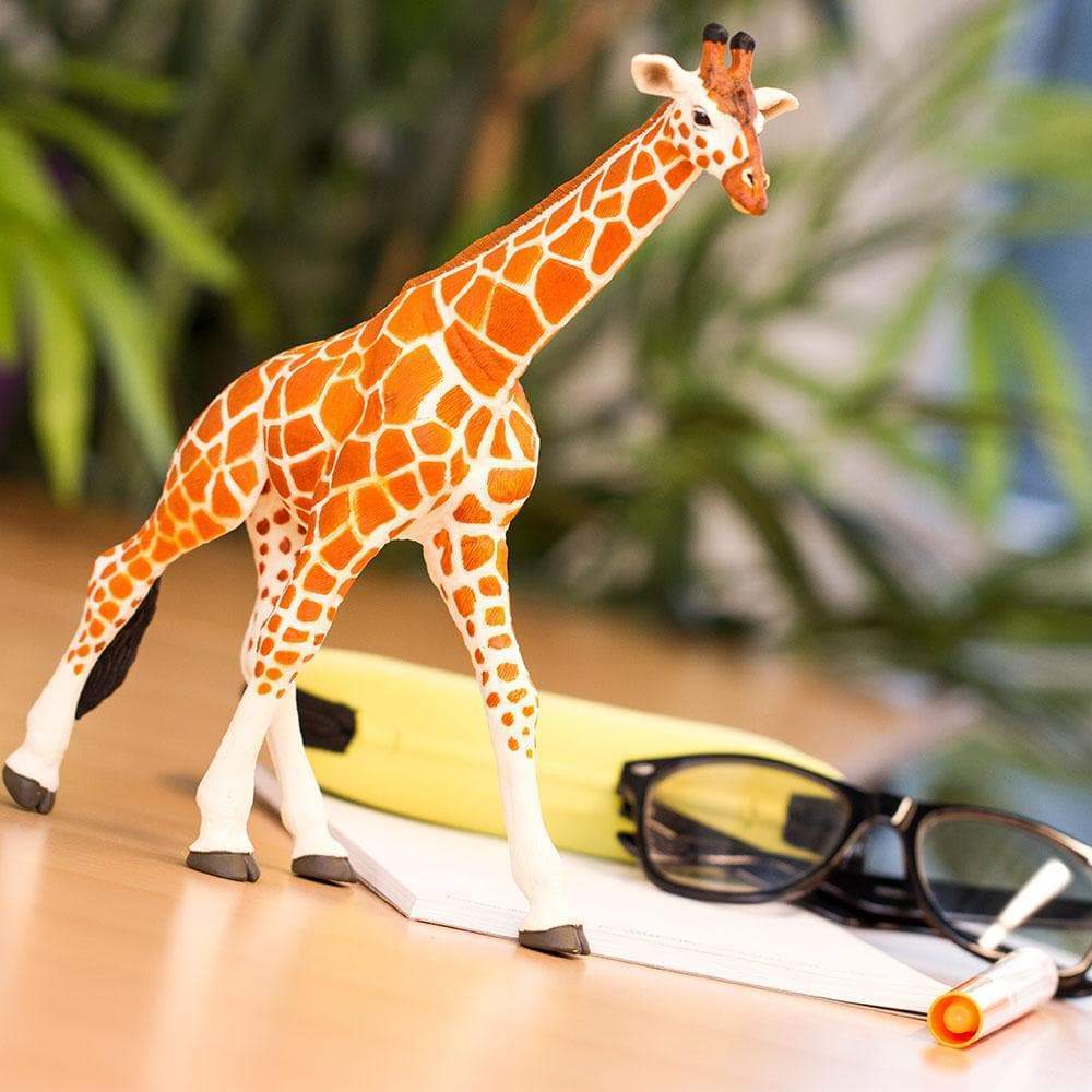 Reticulated Giraffe Toy Figurine | Realistic Wildlife Model | Safari Ltd®